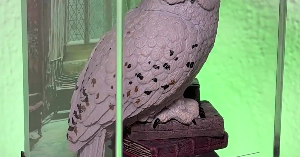 Magical Creatures: Hedwig Φιγούρα (Video) | Skroutz.gr