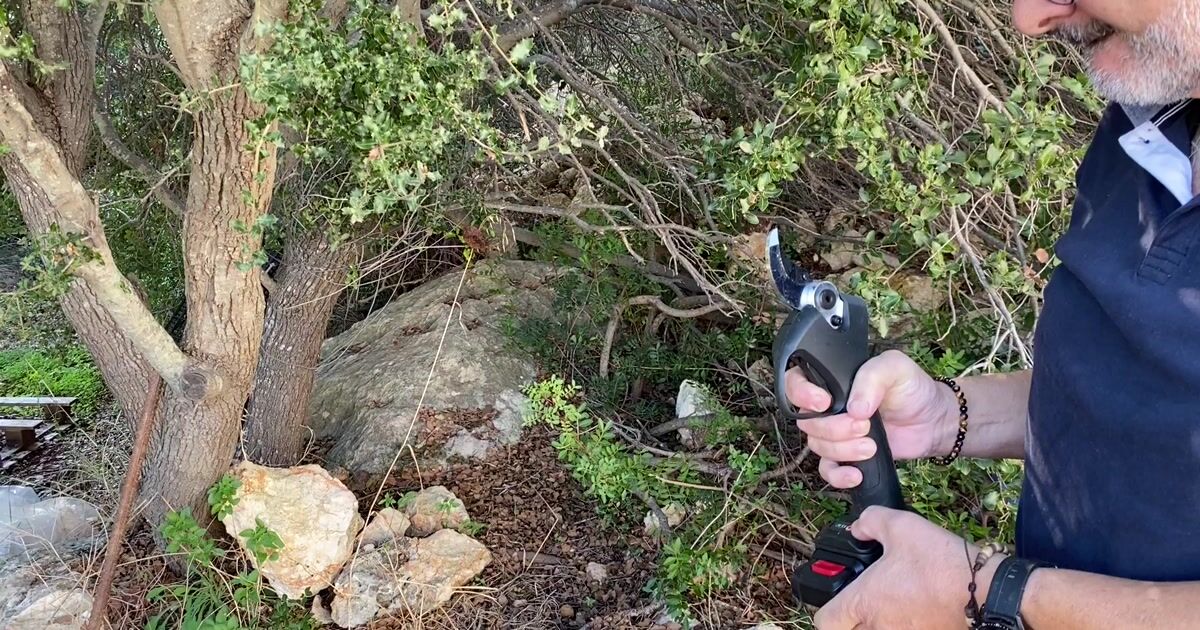 Αξιολόγηση για Agroforce Protech 400 Battery Pruner 21V/2.6Ah with Cut Diameter 40mm Set with 2 ...