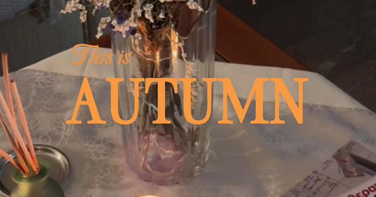 Setting up an autumn scene to read my book in the rain 🌧️📚 (Video ...